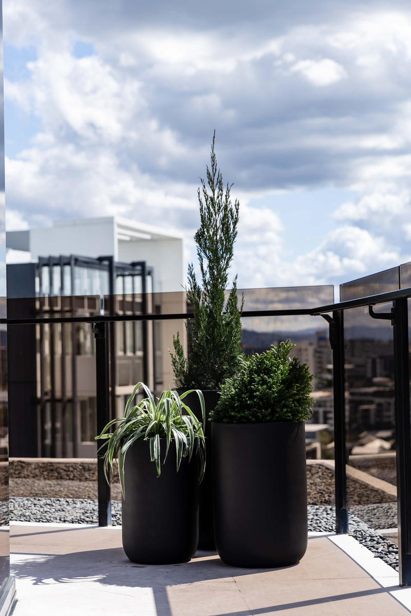 The Concrete Jungle | Premium Garden & Balcony Pots & Planters