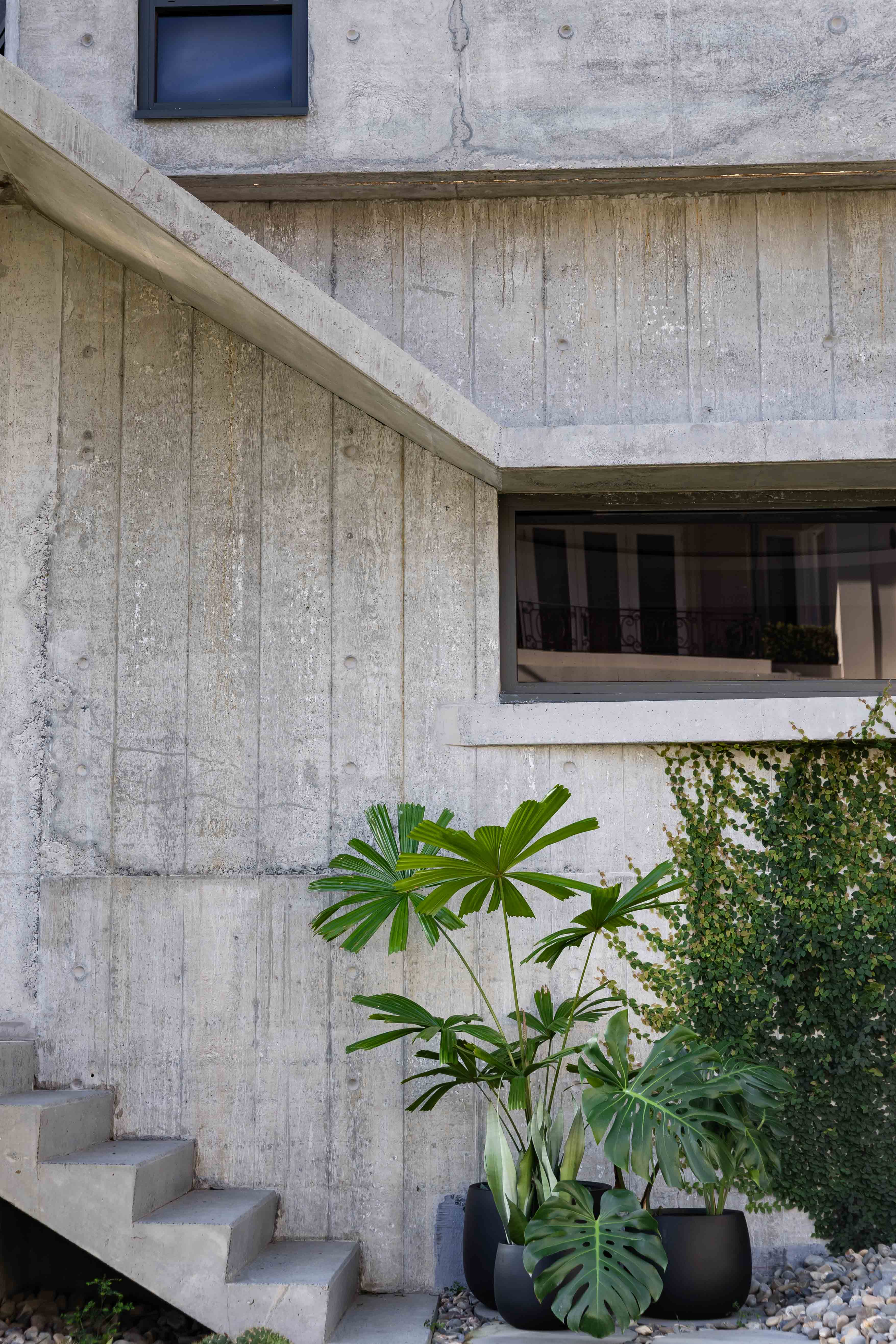 The Eggshell Set – The Concrete Jungle